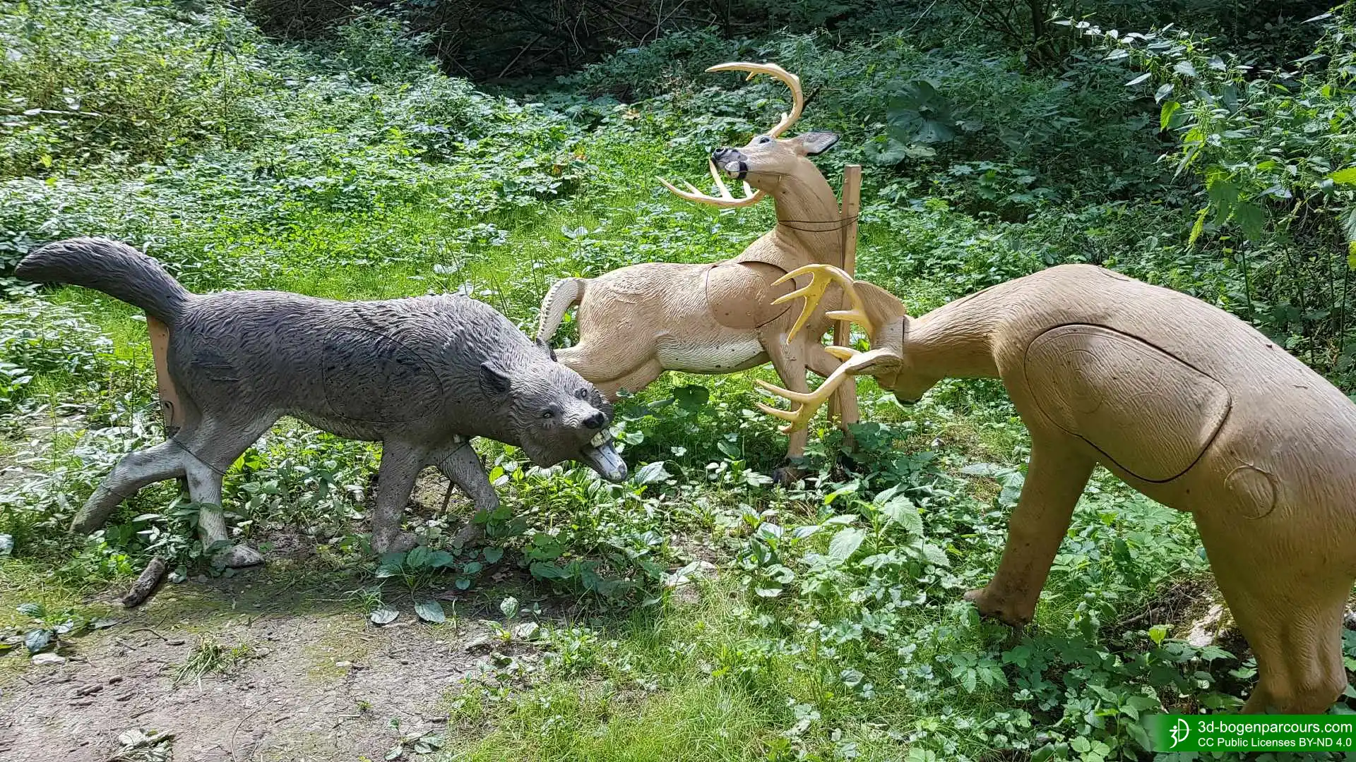 3D Bogenparcours - Rezensionen, Erfahrungsberichte, Tests und Informationen