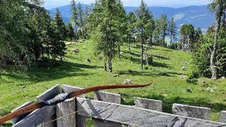 3D Bogenparcours - Rezensionen, Erfahrungsberichte, Tests und Informationen